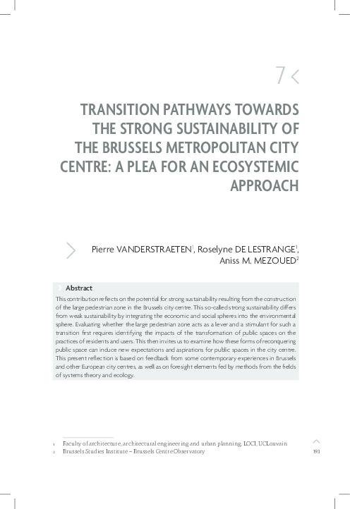 (PDF) TRANSITION PATHWAYS TOWARDS THE STRONG SUSTAINABILITY OF THE ...