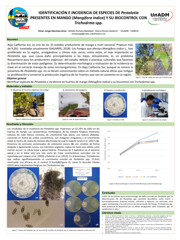 (PDF) IDENTIFICACIÓN E INCIDENCIA DE ESPECIES DE Pestalotia PRESENTES ...