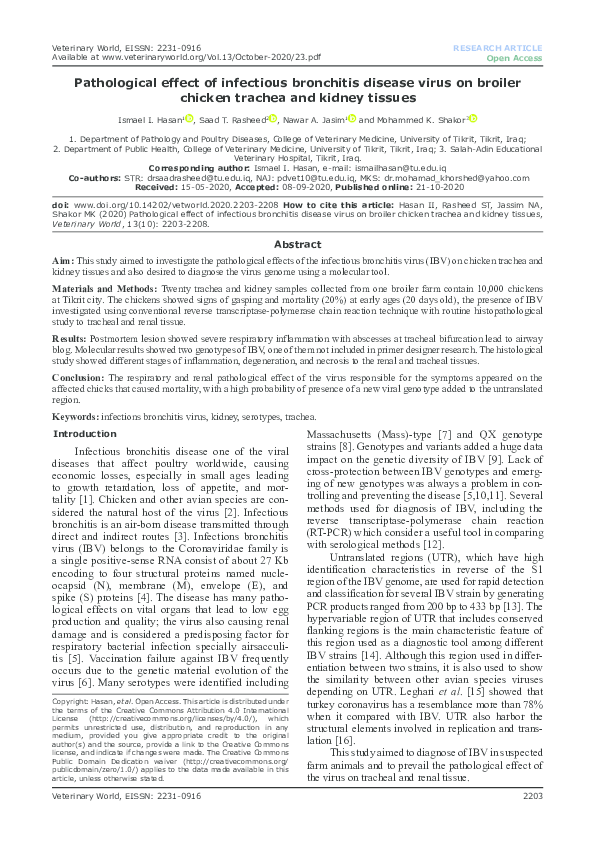 (PDF) Pathological effect of infectious bronchitis disease virus on ...