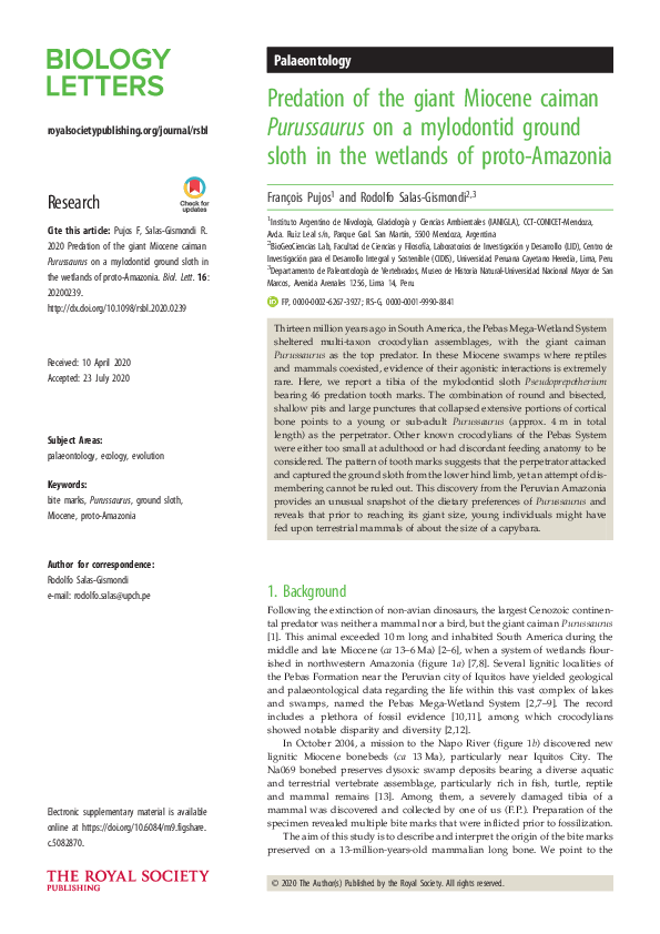 (PDF) Predation of the giant Miocene caiman Purussaurus on a mylodontid ...