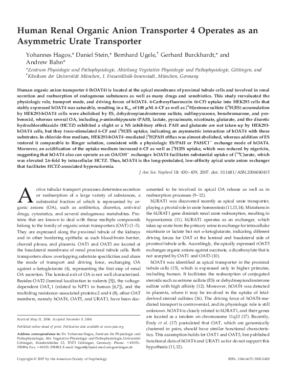 (PDF) Human Renal Organic Anion Transporter 4 Operates as an Asymmetric ...