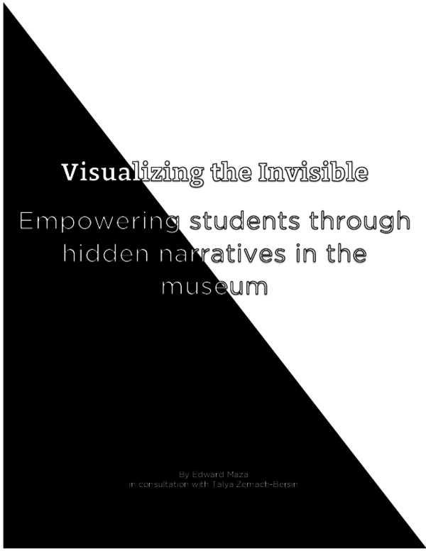 (PDF) The Visible and InVisable Lesson Plans