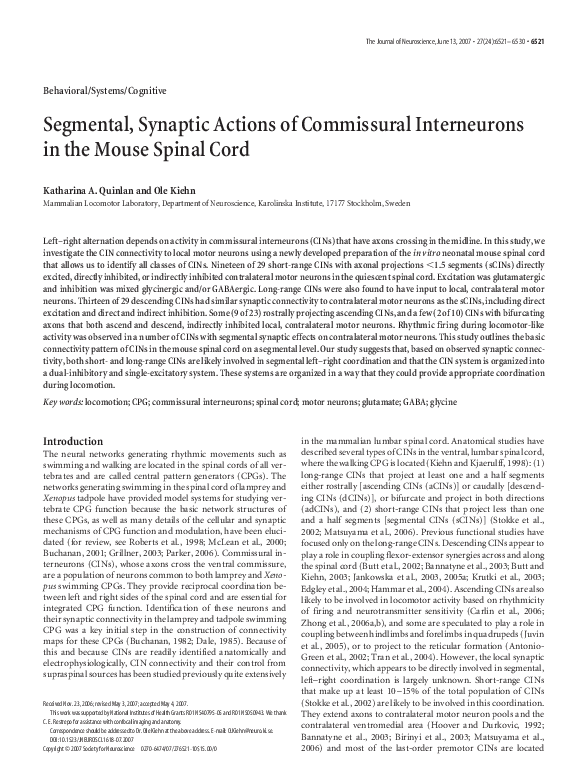 (PDF) Segmental, Synaptic Actions of Commissural Interneurons in the ...
