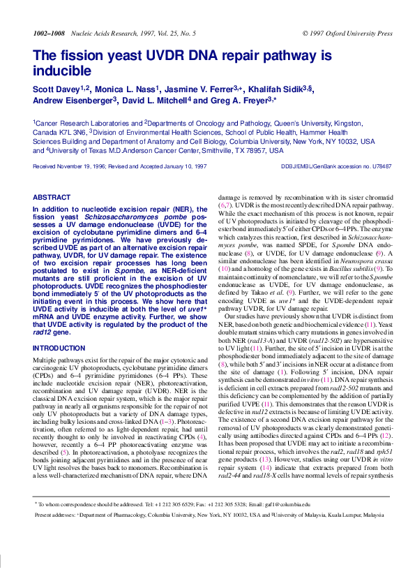 (PDF) The Fission Yeast UVDR DNA Repair Pathway Is Inducible