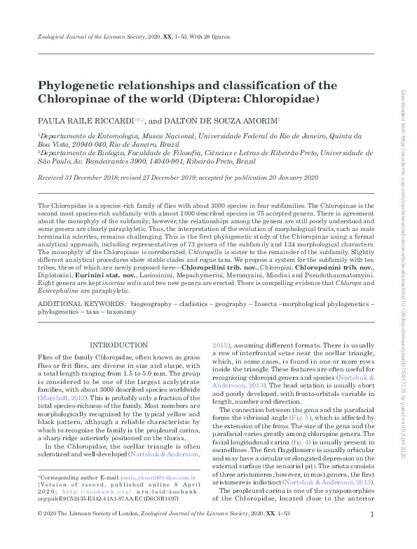 (PDF) Phylogenetic relationships and classification of the Chloropinae ...