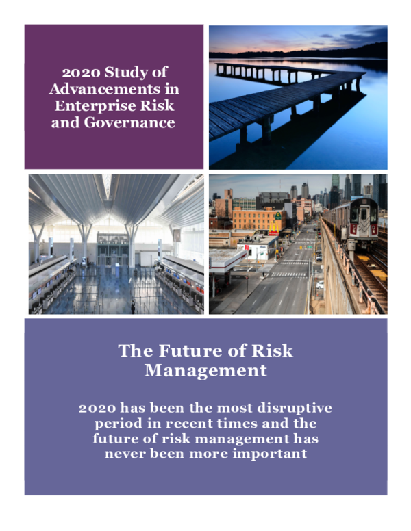 (PDF) The Future of Risk Management