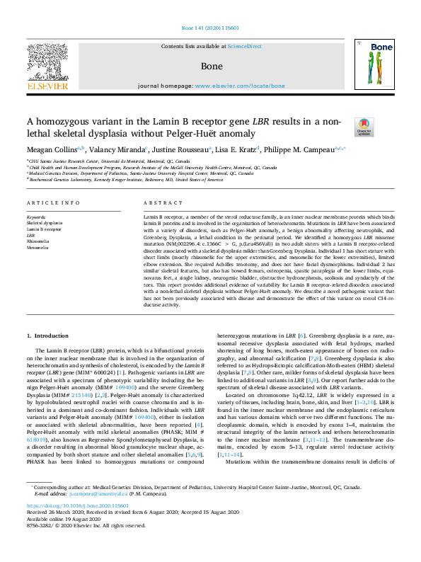 (PDF) A homozygous variant in the Lamin B receptor gene LBR results in ...
