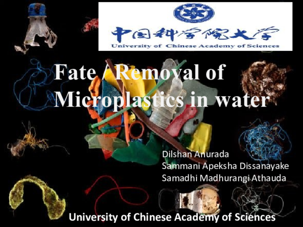 (PPT) Fate Removal of Microplastics