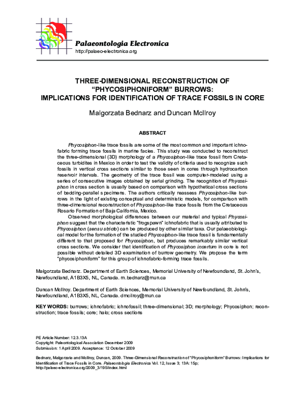 (PDF) Three-dimensional reconstruction of "phycosiphoniform" burrows ...