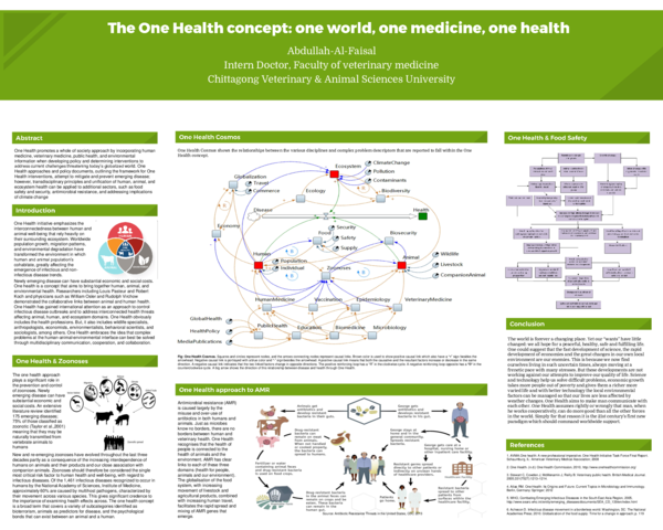 (PDF) One Health Cosmos: A Transdisciplinary Framework