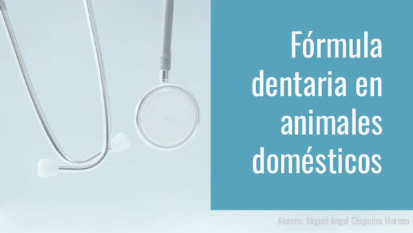 (PDF) Fórmula dentaria en animales domésticos