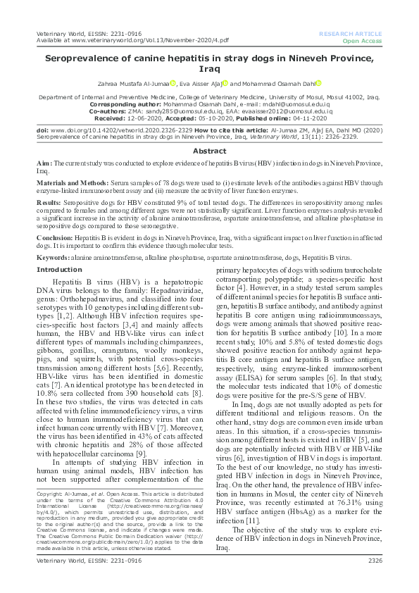 Hepatitis B - SOS Hépatites