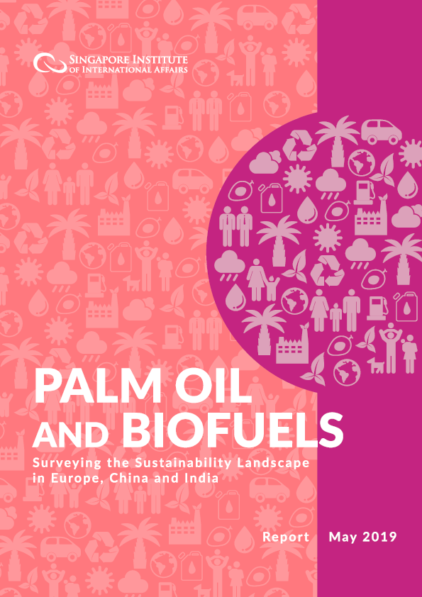 (PDF) Palm Oil And Biofuels: Surveying the Sustainability Landscape in ...