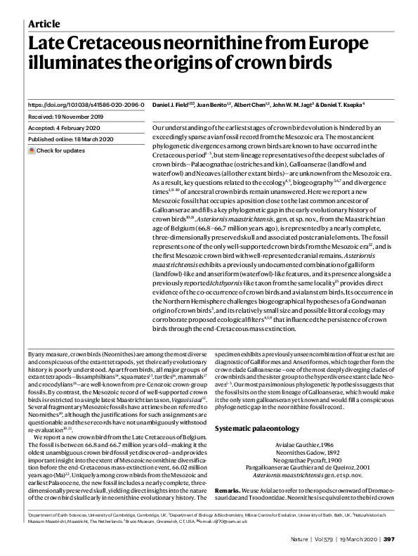 (PDF) Late Cretaceous neornithine from Europe illuminates the origins ...
