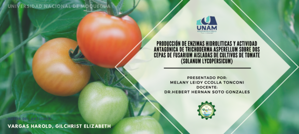 (PDF) ENZIMAS Y APLICACIONES BIOTECNOLOGICAS -Producción de enzimas ...