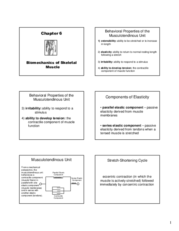 (PDF) Chapter 6 Biomechanics of Skeletal Muscle Behavioral Properties ...