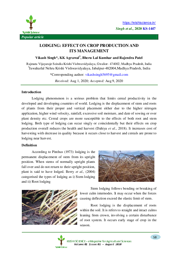 (PDF) LODGING: EFFECT ON CROP PRODUCTION AND ITS MANAGEMENT