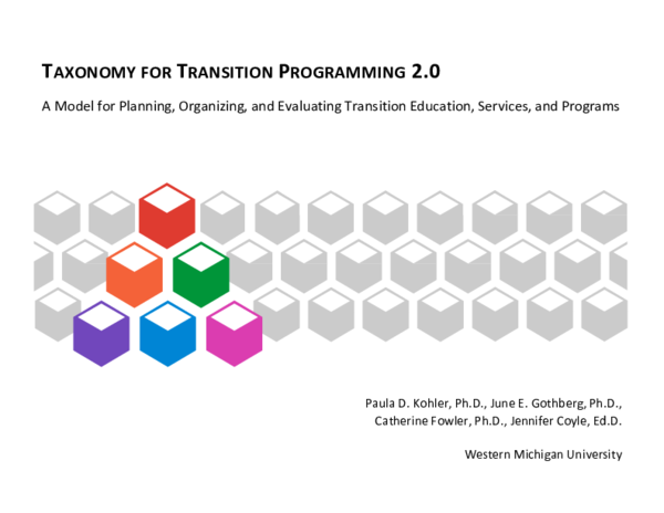 (PDF) TAXONOMY FOR TRANSITION PROGRAMMING 2.0 A Model for Planning ...