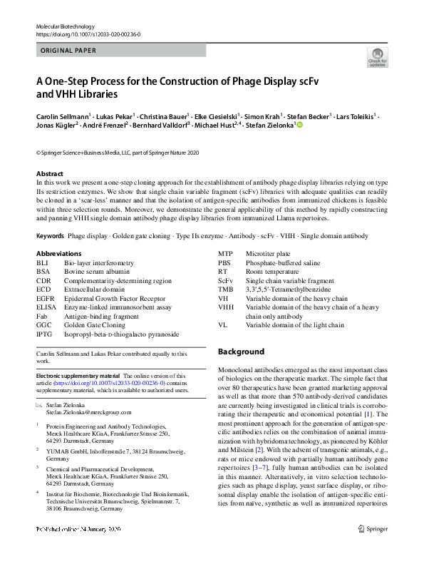 (PDF) A One-Step Process for the Construction of Phage Display scFv and ...
