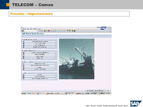 (PPT) Import Process EXAMPLE FROM SAP TELCO