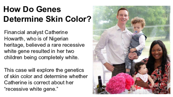 (PDF) How Do Genes Determine Skin Color