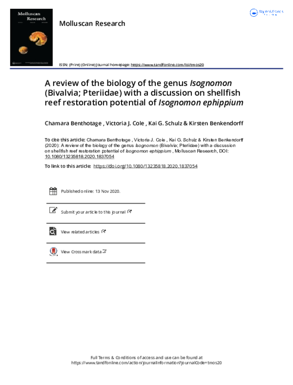 (PDF) A review of the biology of the genus Isognomon (Bivalvia ...