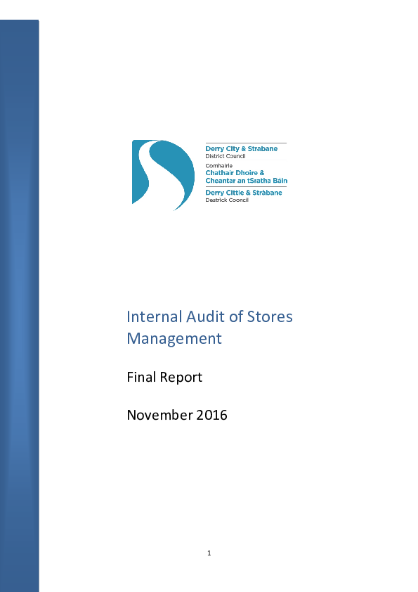 (PDF) Internal Audit of Stores Management Final Report