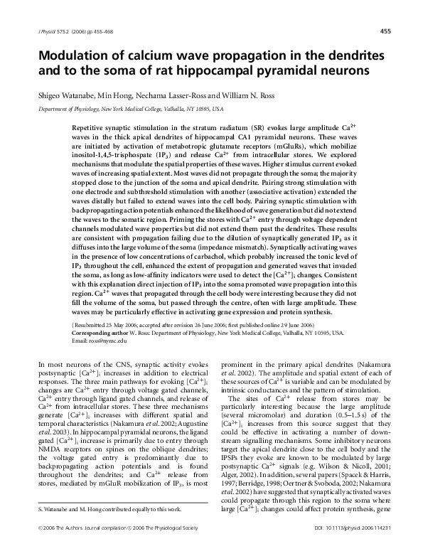(PDF) Modulation of calcium wave propagation in the dendrites and to ...