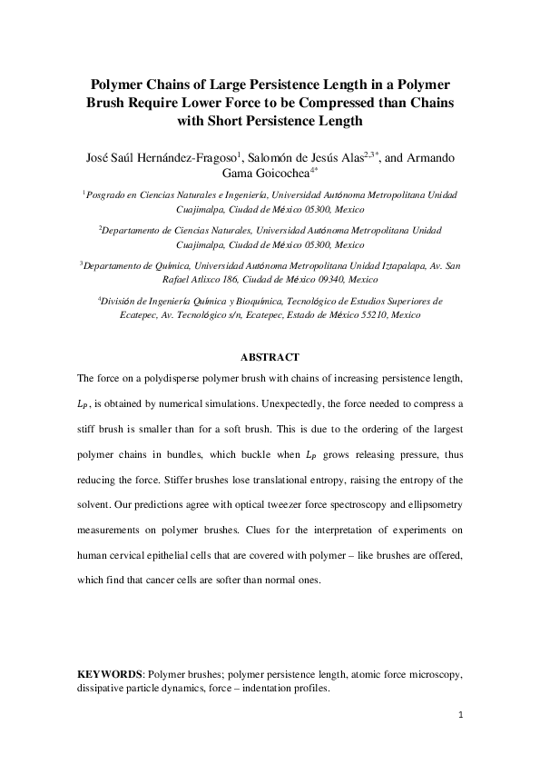 Polymer Chains of Large Persistence Length in a Polymer Brush Require ...