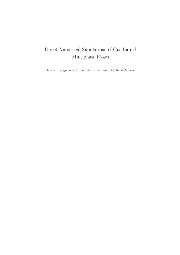(PDF) Direct Numerical Simulations of Gas-Liquid Multiphase Flows