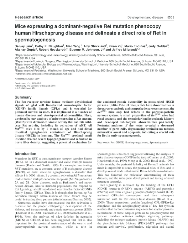 (PDF) Mice expressing a dominant-negative Ret mutation phenocopy human ...