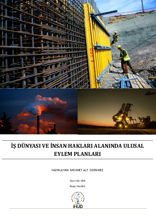 (PDF) İŞ DÜNYASI VE İNSAN HAKLARI ALANINDA ULUSAL EYLEM PLANLARI