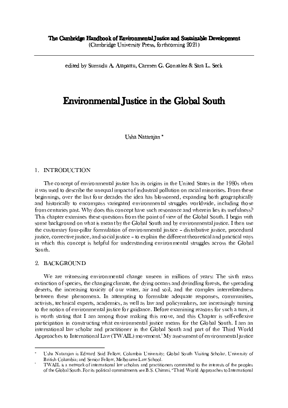 (PDF) Environmental Justice in the Global South