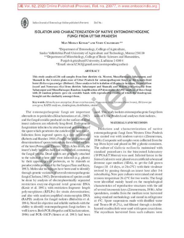 ISOLATION AND CHARACTERIZATION OF NATIVE ENTOMOPATHOGENIC FUNGI FROM UTTAR PRADESH