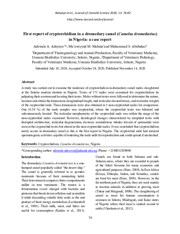 (PDF) First report of cryptorchidism in a dromedary camel (Camelus ...