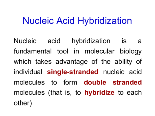 Nucleic Acid Hybridization