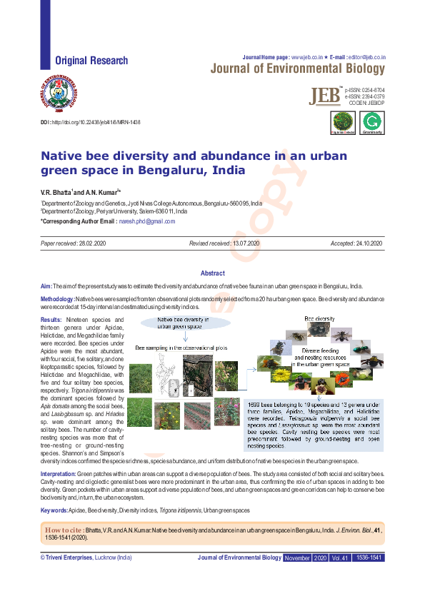 (PDF) Native bee diversity and abundance in an urban green space in ...