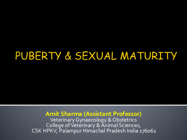 (PDF) Puberty & Sexual Maturity in Domestic Animals