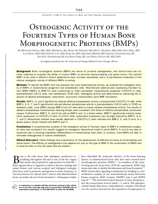 (PDF) Osteogenic activity of the fourteen types of human bone ...