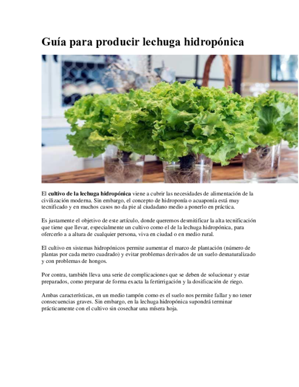 (PDF) Guía para producir lechuga hidropónica