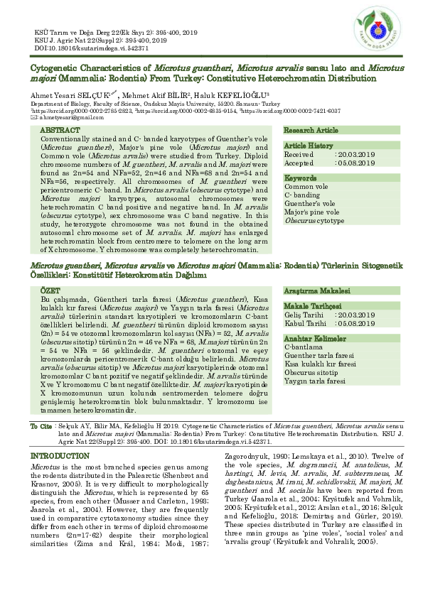 (PDF) Cytogenetic Characteristics of Microtus guentheri, Microtus ...