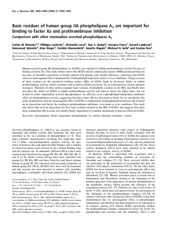 (PDF) Basic residues of human group IIA phospholipase A2 are important for binding to factor Xa ...