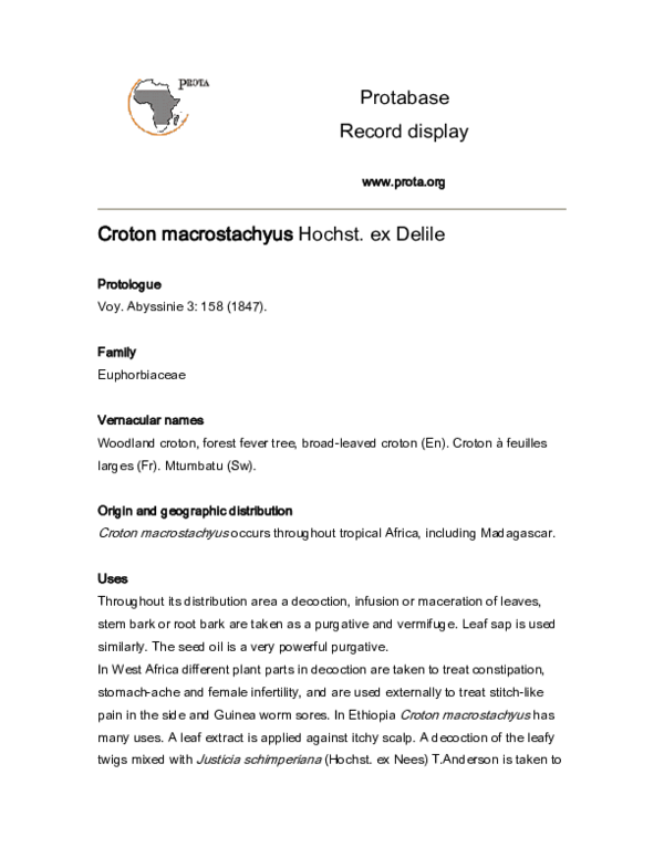 (PDF) Croton macrostachyus Hochst. ex Delile Protologue