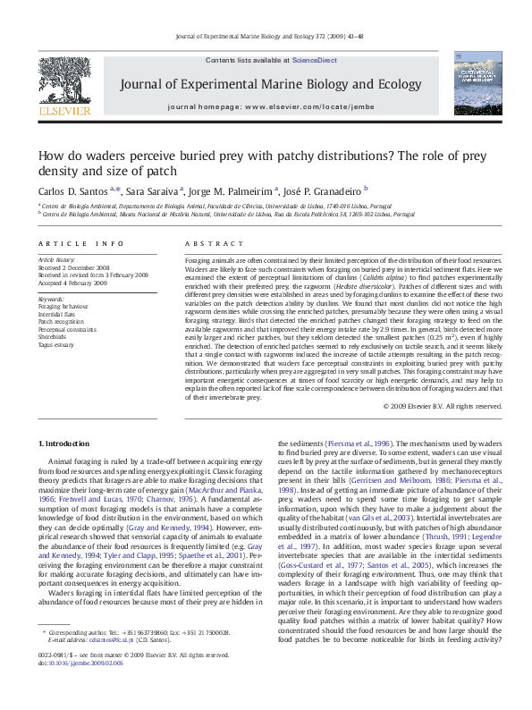 (PDF) How do waders perceive buried prey with patchy distributions? The ...