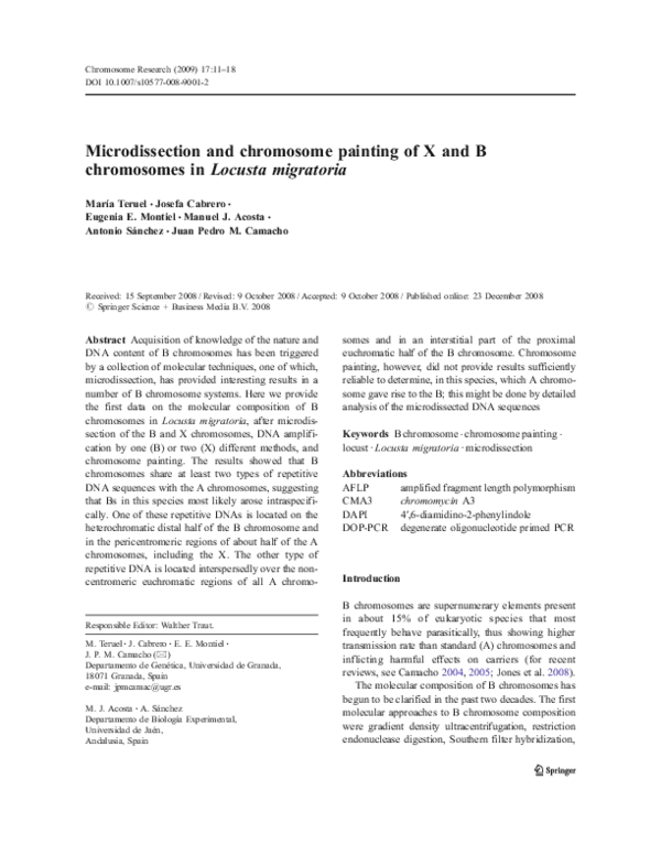 (PDF) Microdissection and chromosome painting of X and B chromosomes in ...