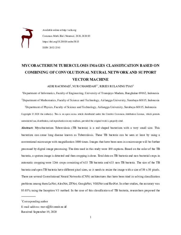 (PDF) MYCOBACTERIUM TUBERCULOSIS IMAGES CLASSIFICATION BASED ON COMBINING OF CONVOLUTIONAL ...