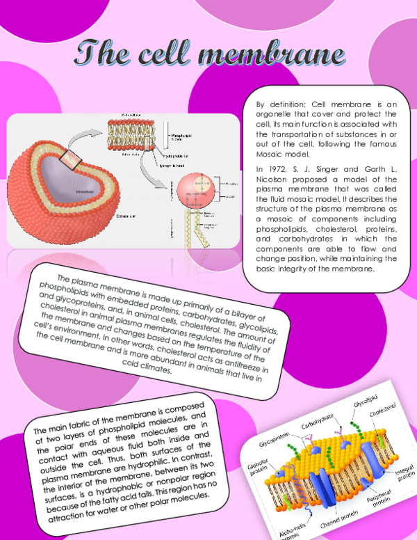 (PDF) Cell membrane