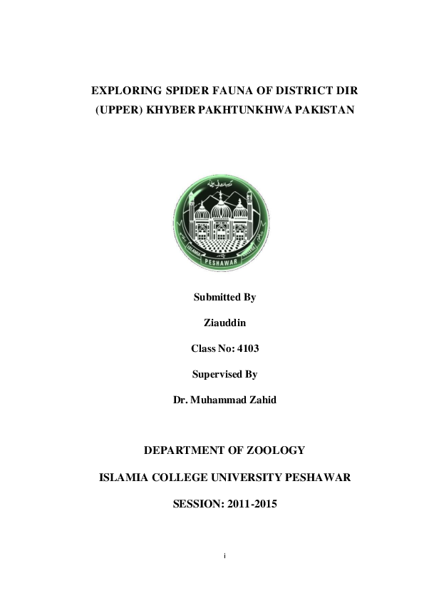 (PDF) ZiaFinal Thesis full