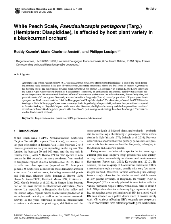 (PDF) White peach scale, Pseudaulacaspis pentagona (Targ.) (Hemiptera ...