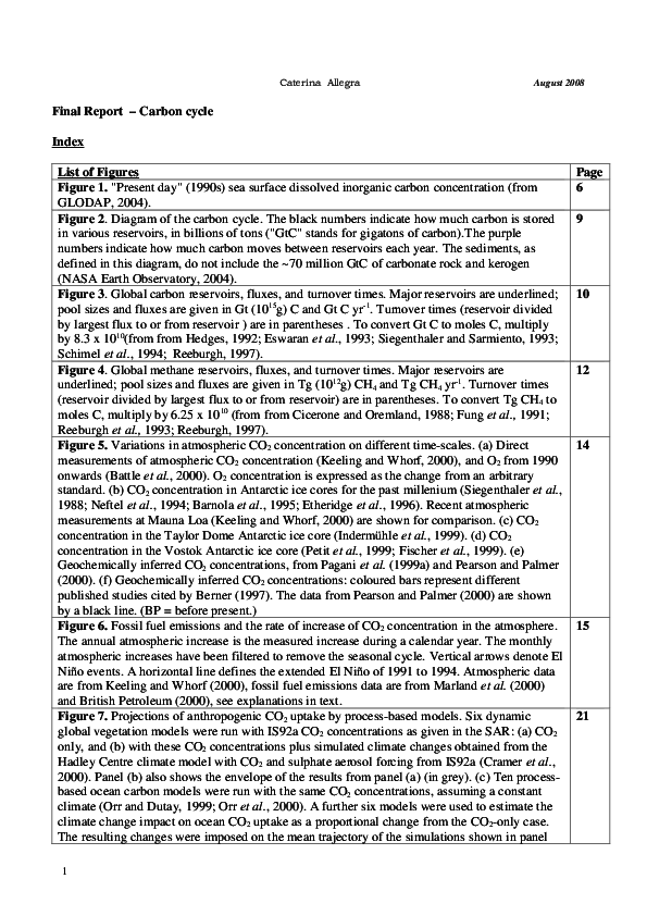 (PDF) Final Report -Carbon cycle